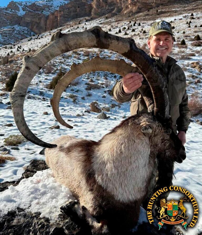 Bezoar Ibex Hunting In Turkey: Ultimate Adventure Best Areas