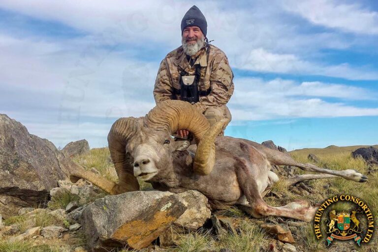 Hangai Argali Hunting | Mongolias Best Hangai Argali Hunting