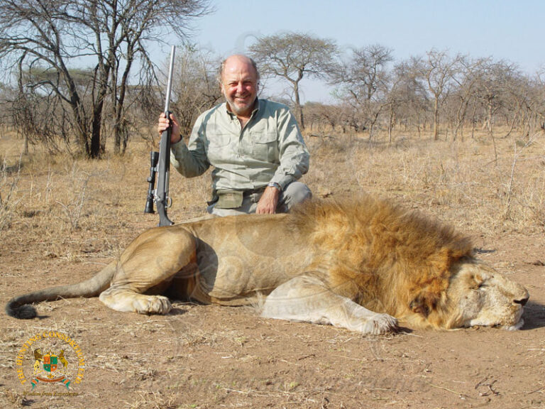 African Lion Hunting | Best African Lion Hunting In Africa