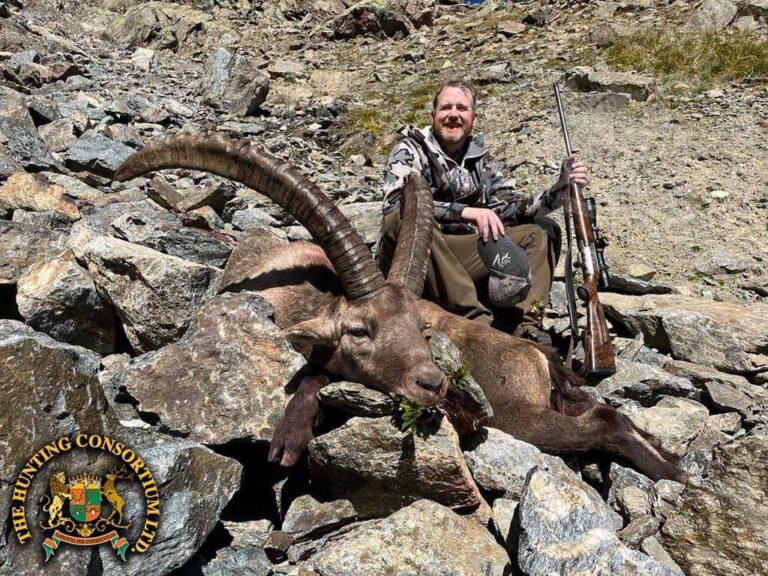 Alpine Ibex Hunting | The World's Best Alpine Ibex Hunting