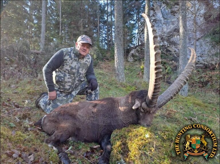 Alpine Ibex Hunting | The World's Best Alpine Ibex Hunting