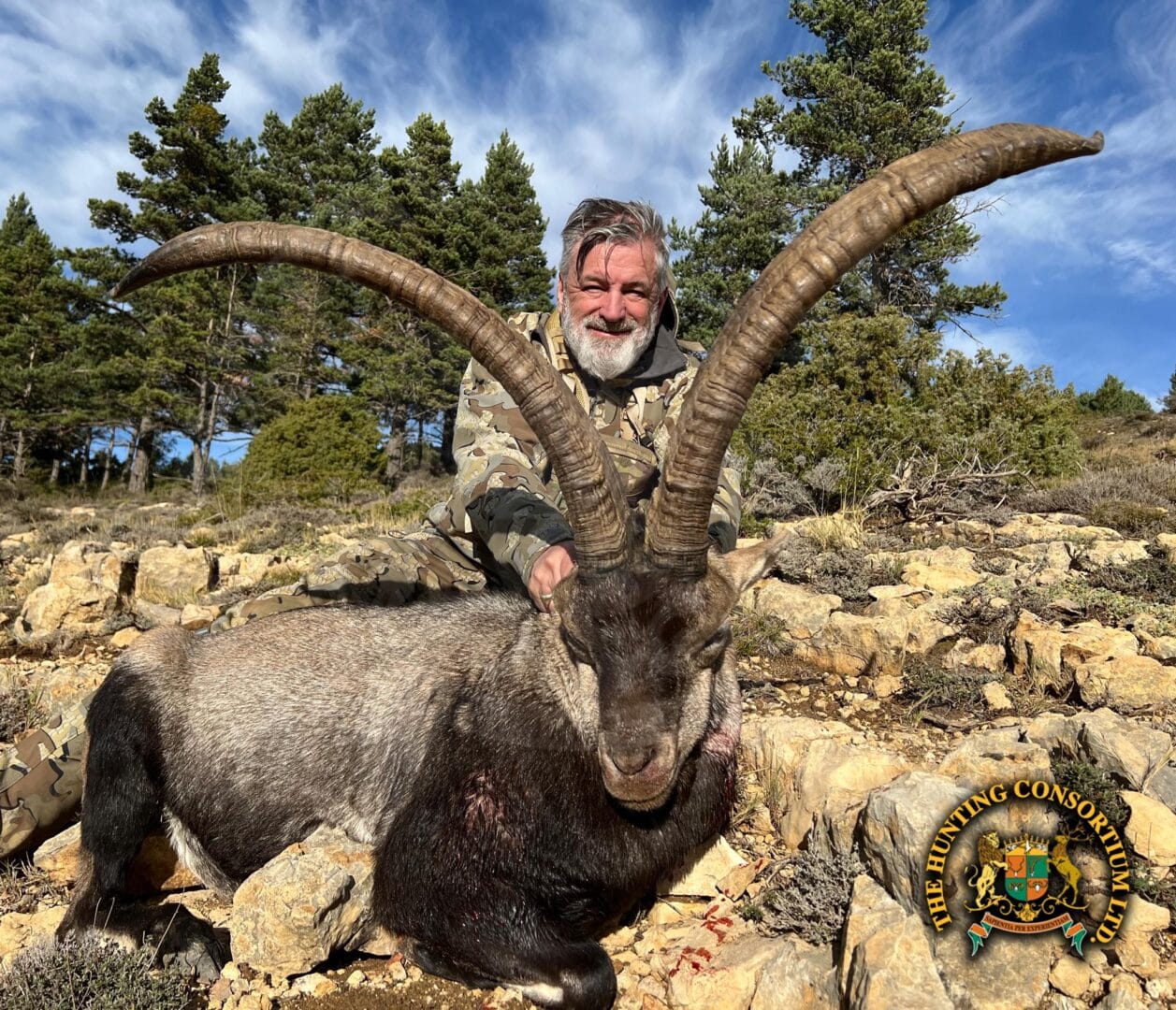 Beceite Ibex Hunting Best Ibex Hunts In Spain 100% Sucess