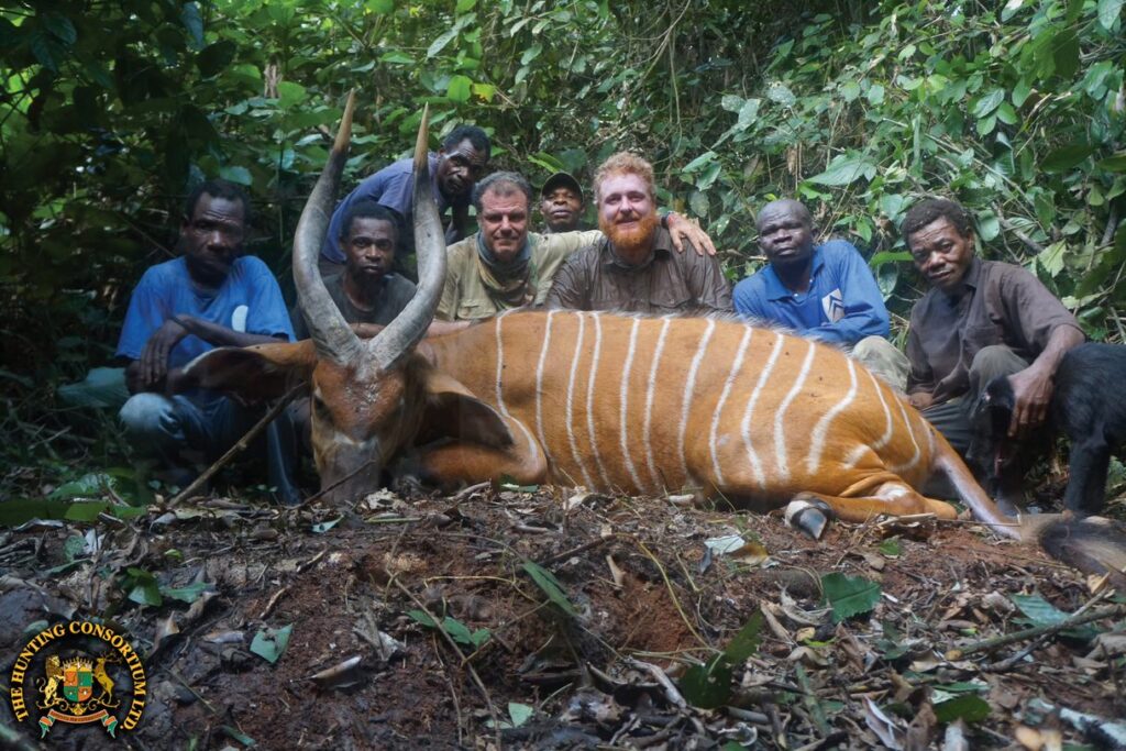 Hunt Trips | International Hunting Outfitters & Big Game