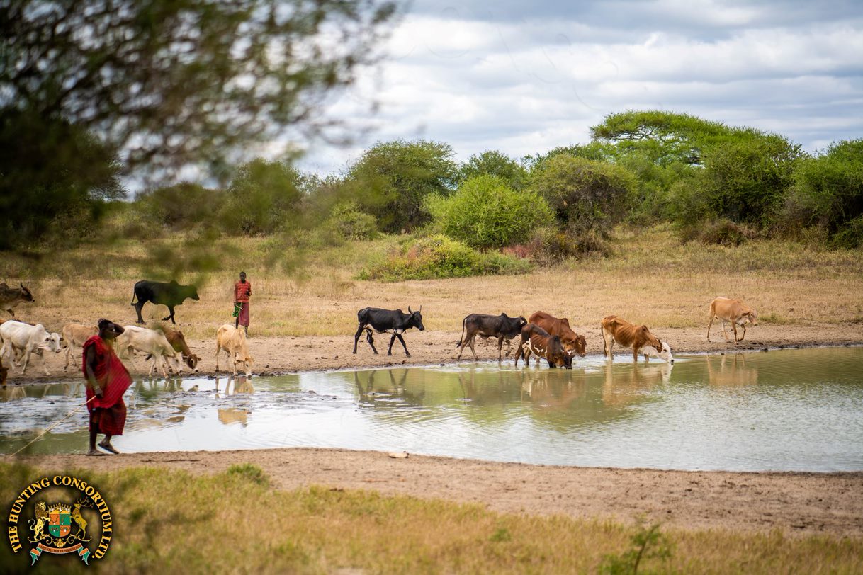 African Hunting | Best Safaris In Africa 100% Success Rate