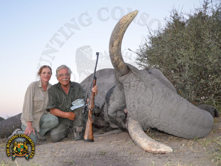 African Elephant Hunting | The Best African Elephant Hunting