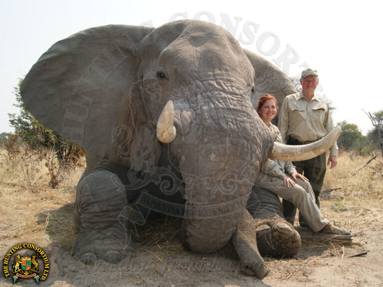 Hunting In Botswana | Hunting In Botswana. Legendary Hunts