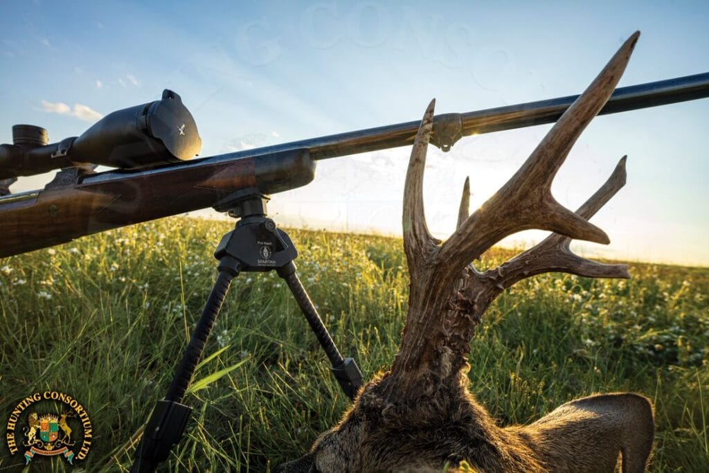 Hunting In Europe | Voted #1 In European Hunts And Big Game