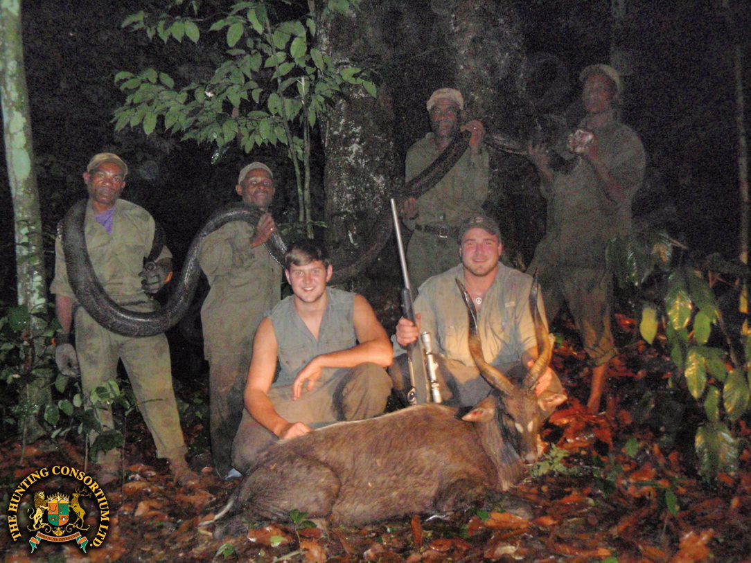 Hunting In Cameroon | Hunting In Cameroon Giant Eland Hunt