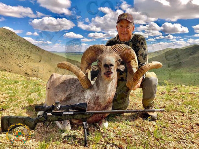 Hangai Argali Hunting | Mongolias Best Hangai Argali Hunting