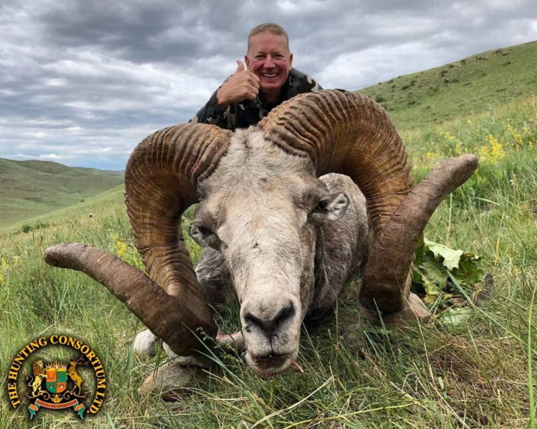 Hangai Argali Hunting | Mongolias Best Hangai Argali Hunting