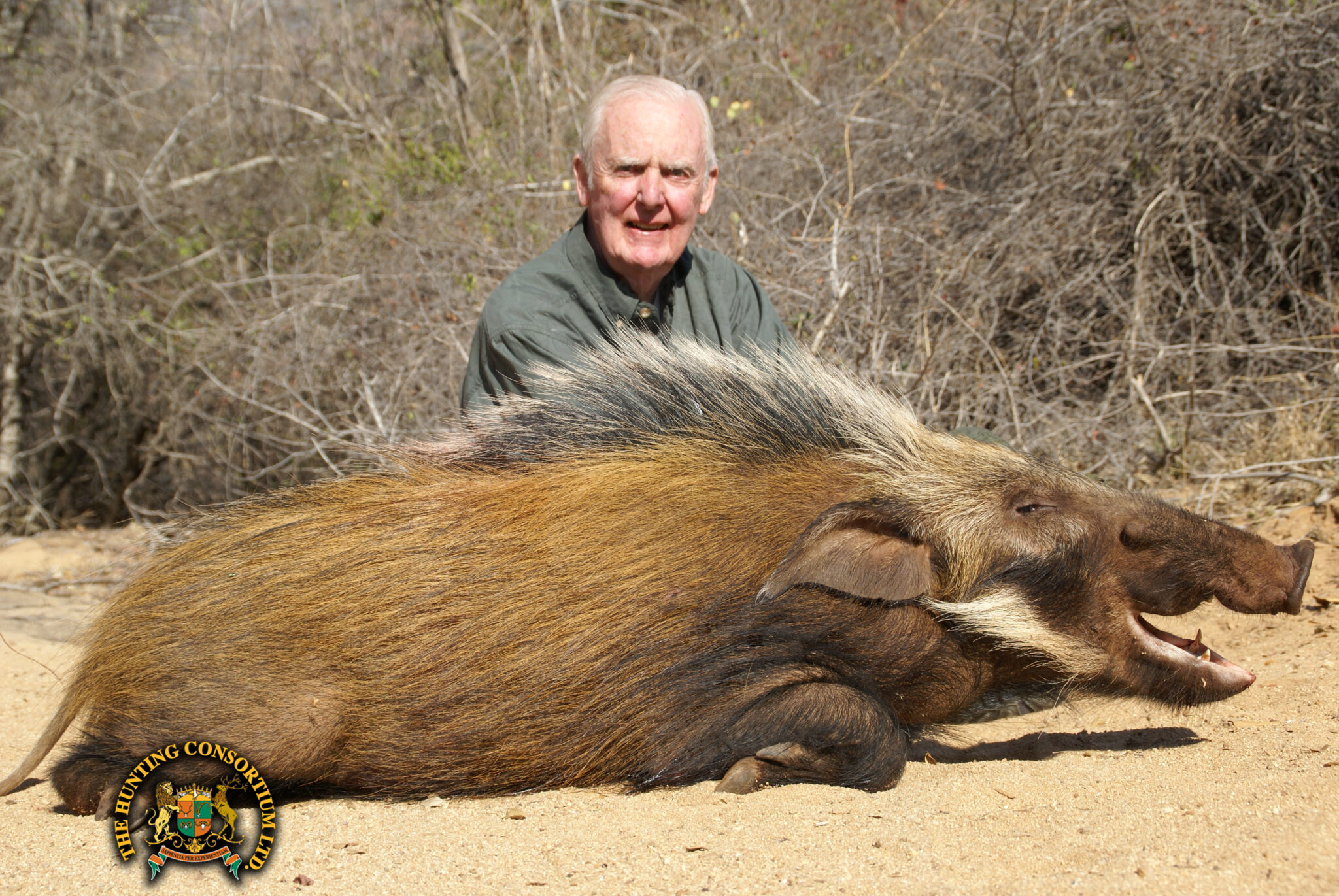 Bushpig Hunting | Hunting Consultants & Hunt Brokers
