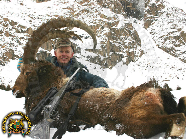 Himalayan Ibex Hunting: Legendary Himalayan Adventure In Pakistan