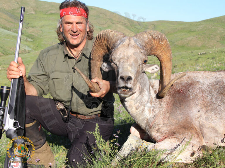 Hangai Argali Hunting | Mongolias Best Hangai Argali Hunting
