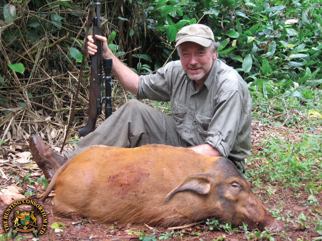 Red River Hog Hunting | Best Area And Highest Success Rates