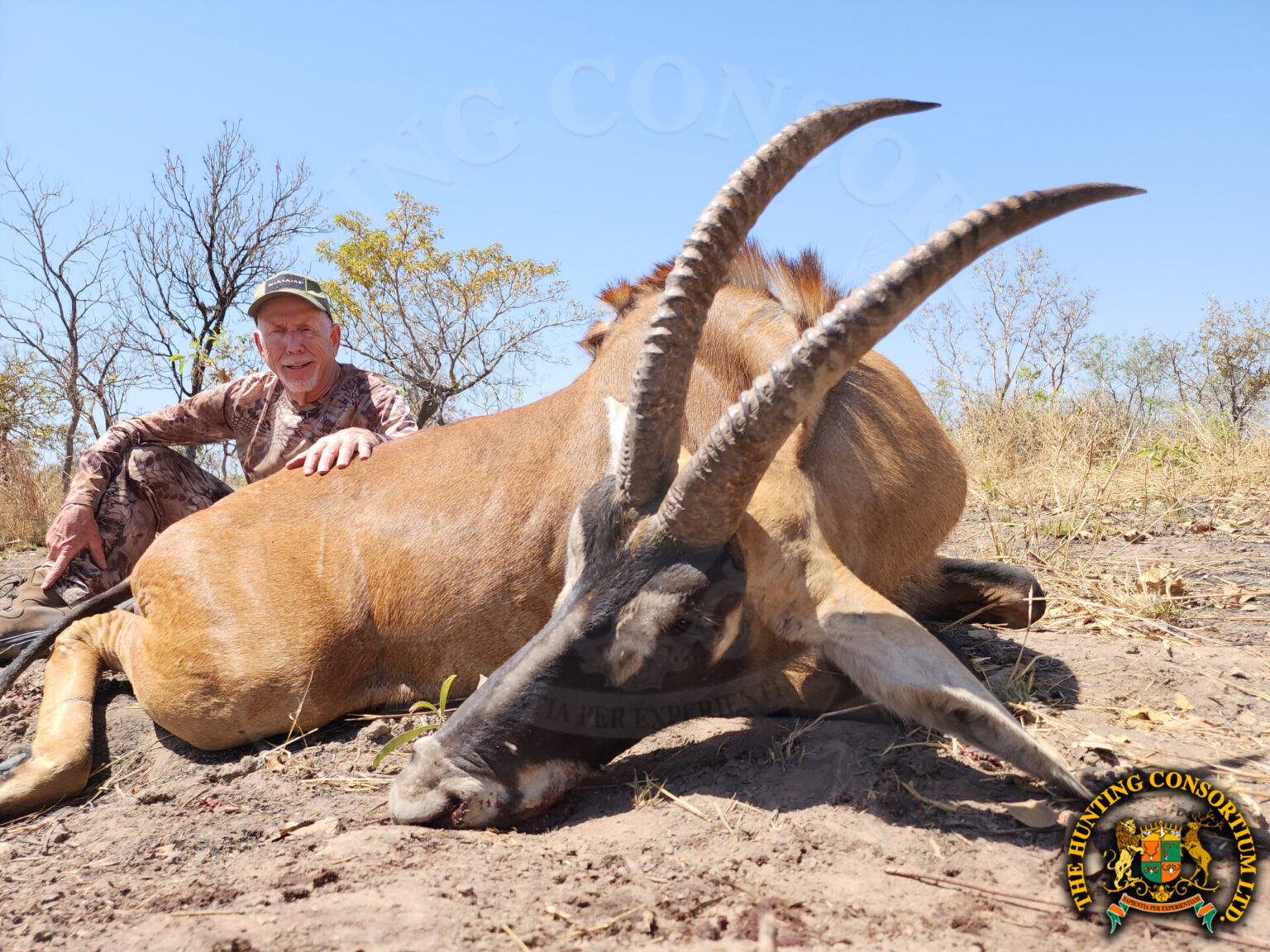 Roan Hunting | Hunting Consultants & Hunt Brokers Best Roan Hunting Areas