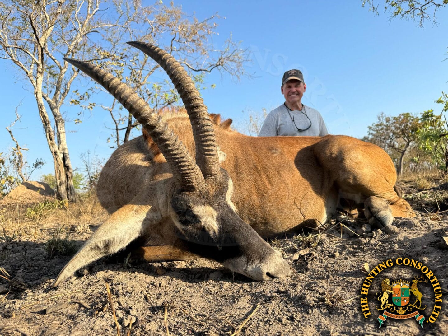 Roan Hunting | Hunting Consultants & Hunt Brokers Best Roan Hunting Areas
