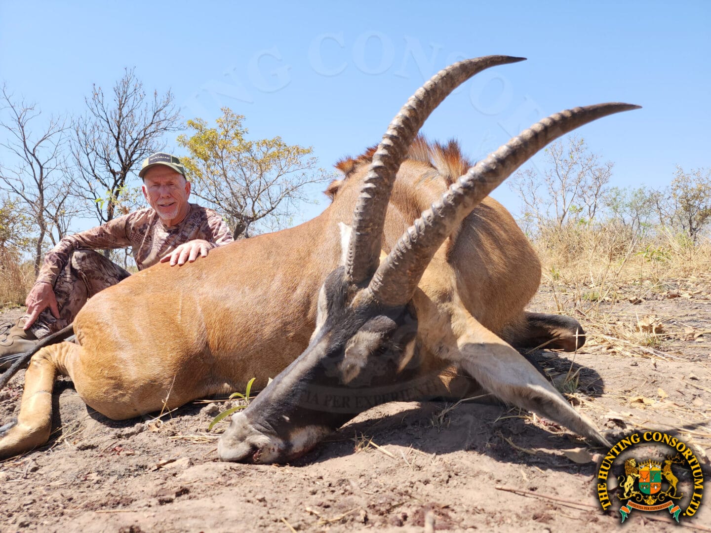Roan Hunting | Hunting Consultants & Hunt Brokers Best Roan Hunting Areas