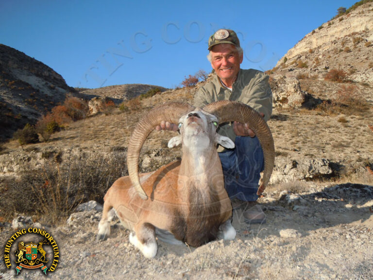 Hunting In Turkey | Best Turkish Hunts Biggest Bezoar Ibex