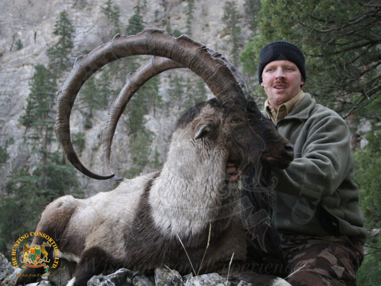 Hunting In Turkey | Best Turkish Hunts Biggest Bezoar Ibex