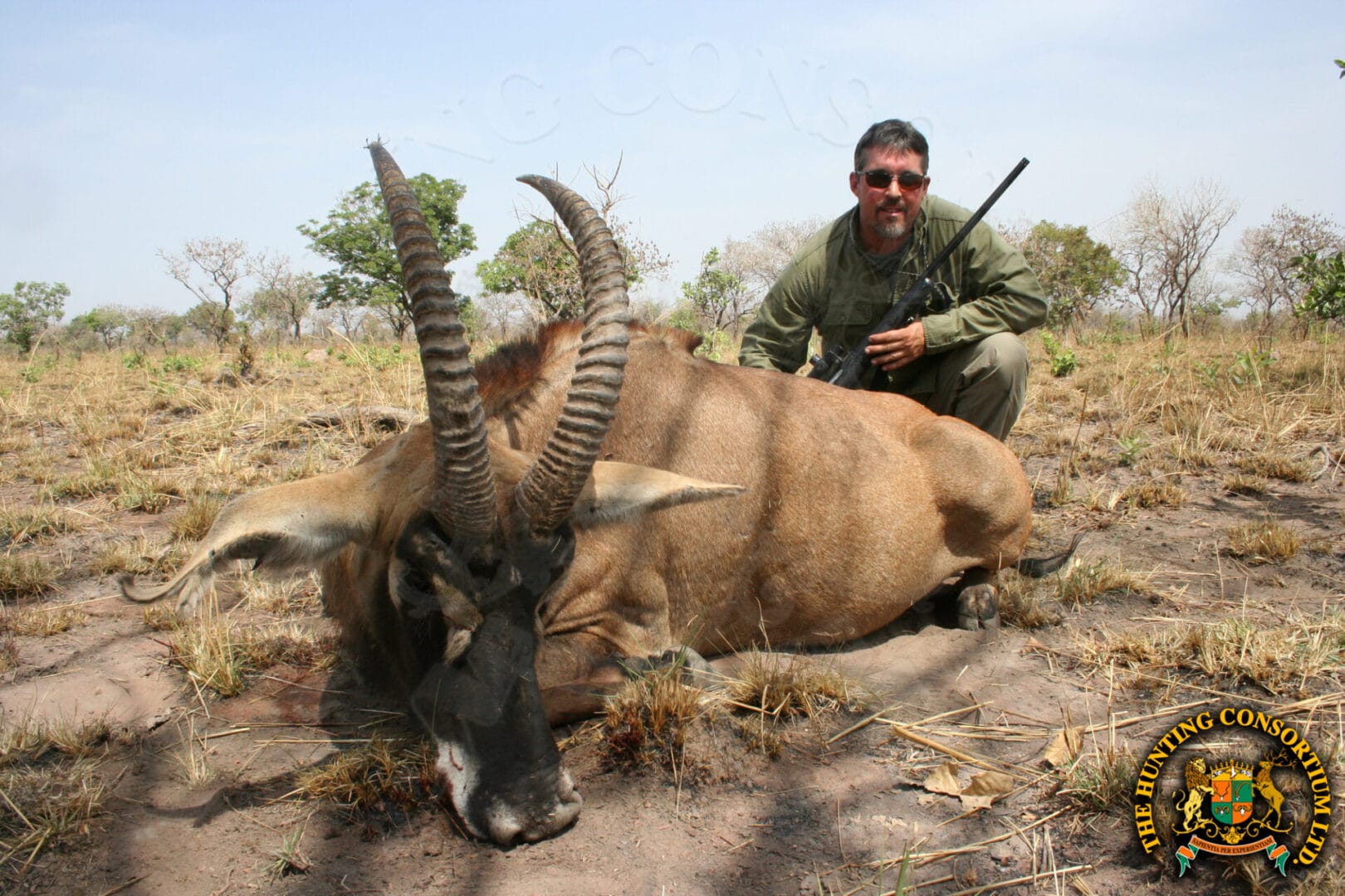 Roan Hunting | Hunting Consultants & Hunt Brokers Best Roan Hunting Areas