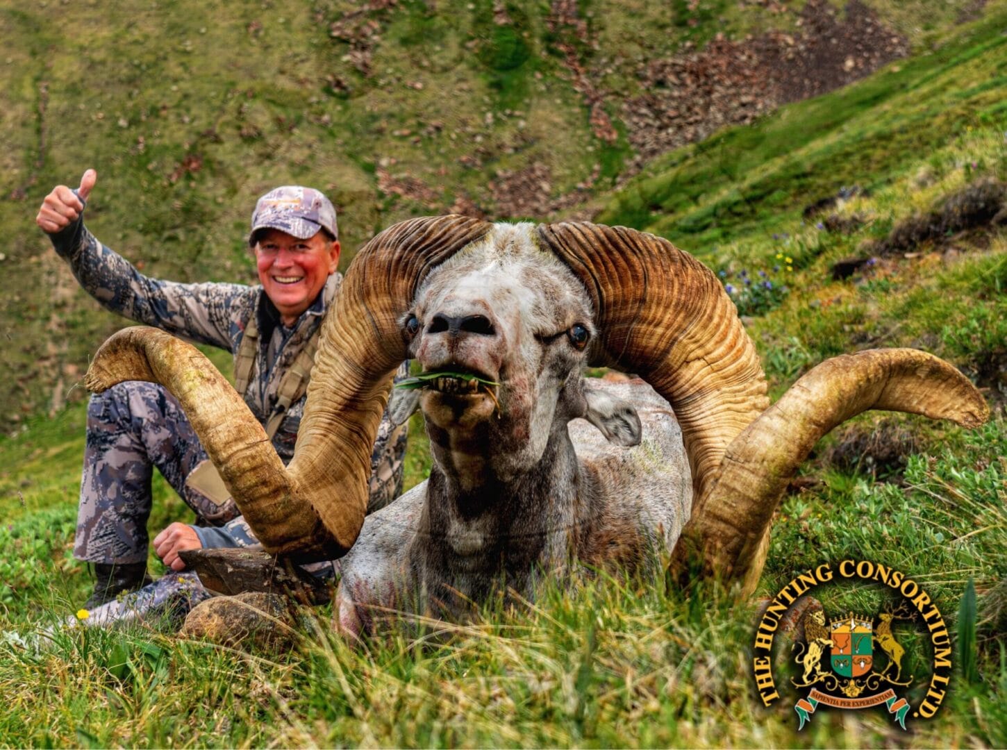 Mongolian Argalis | The Best In Wildsheep Hunting