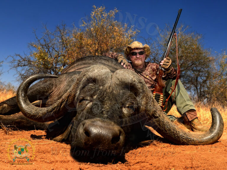 Top 6 Cape Buffalo Hunting Destinations | Best Cape Buffalo Hunting In ...
