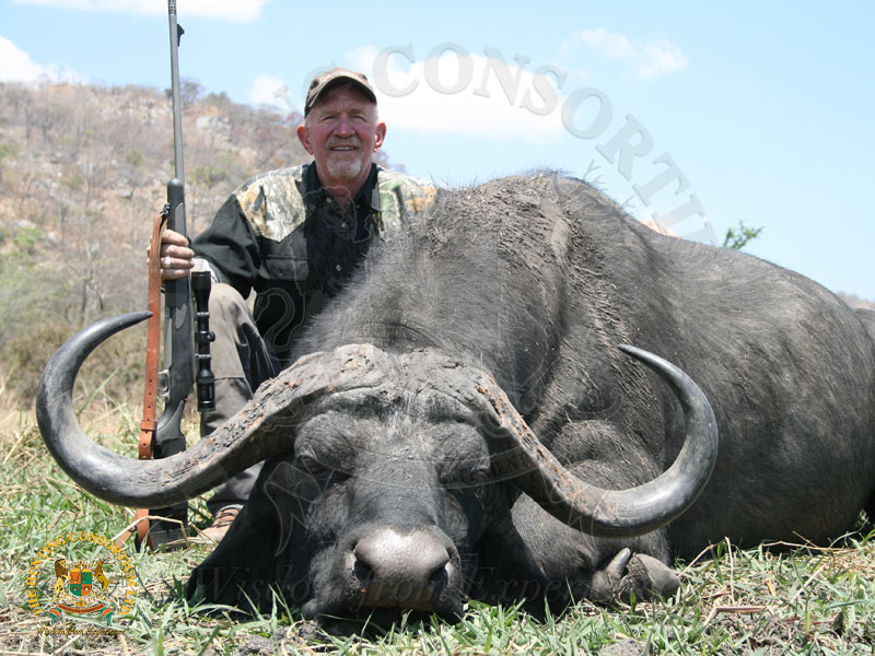 Cape Buffalo Safari | The World's Best In Hunting Esccapes
