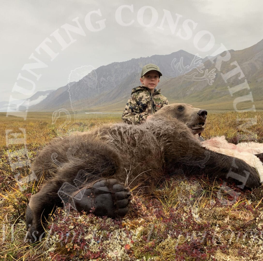 Grizzly Bear Hunting
