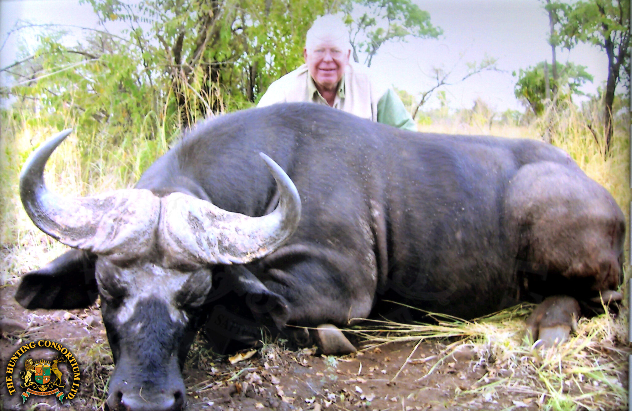 Cape Buffalo Safari | The World's Best In Hunting Esccapes