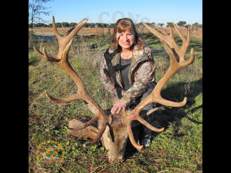 European Red Stag Hunting | World's Best Red Stag Hunting