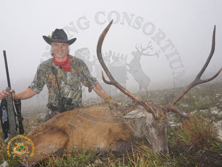 European Red Stag Hunting | World's Best Red Stag Hunting