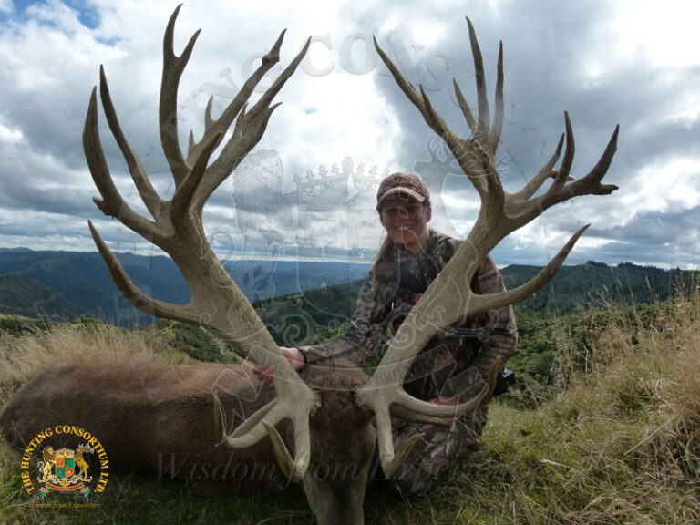 European Red Stag Hunting | World's Best Red Stag Hunting