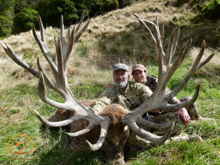 European Red Stag Hunting | World's Best Red Stag Hunting