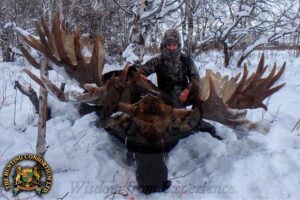Russian Moose Hunting | World Record Moose Hunts & More