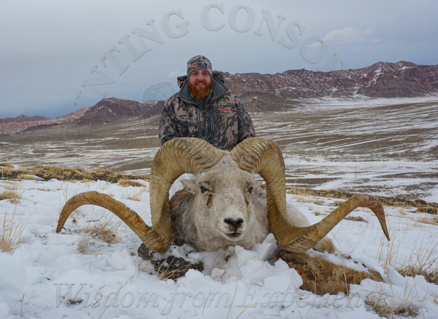 Marco Polo Sheep Hunting | Best In Marco Polo Sheep Hunts