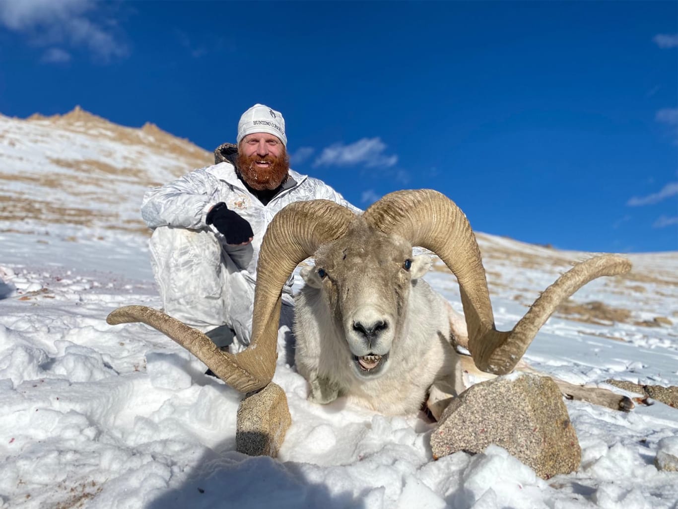 #1 In Marco Polo Sheep Hunting | Best In Marco Polo Sheep Hunts