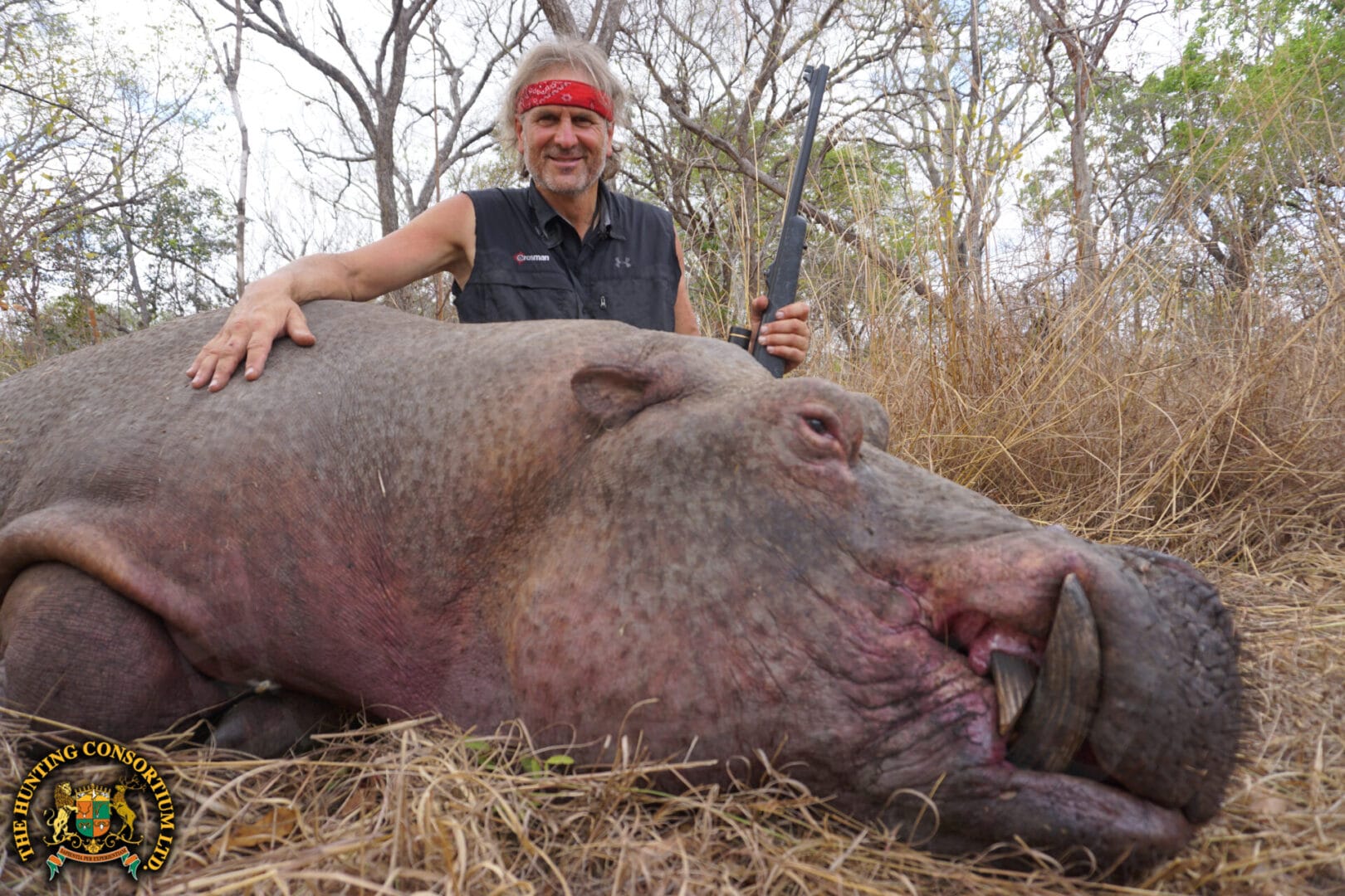 Hippopotamus Hunting | Hunting Consultants & Hunt Brokers Best Hunting Areas