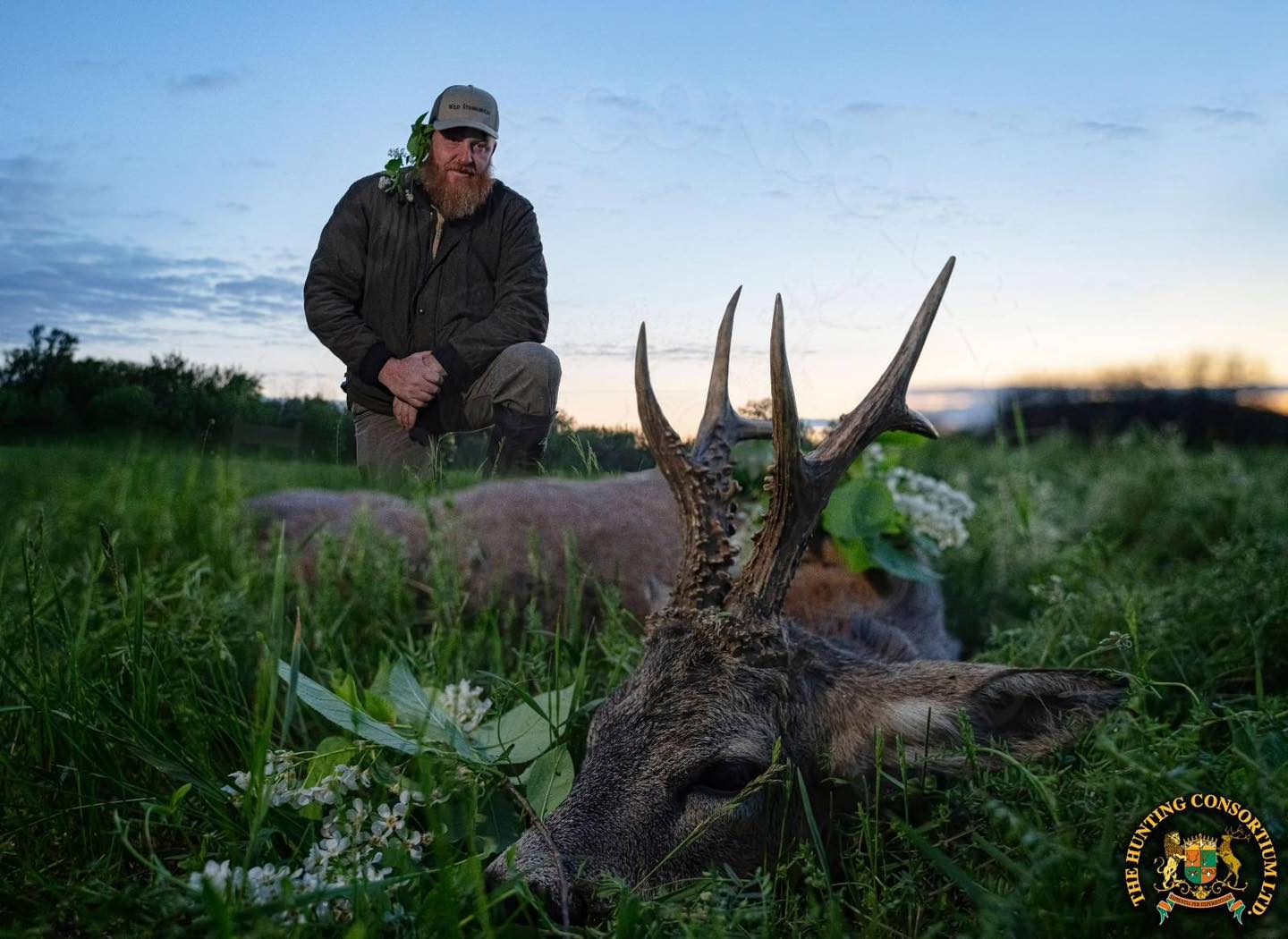 Hunting In Hungary | Best Hunting In Hungary / Best Roe Deer