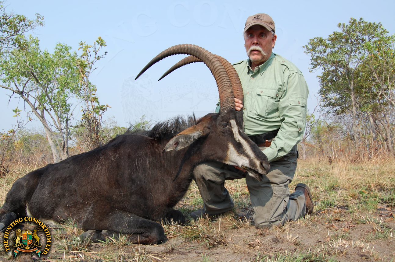 Sable Hunting | Hunting Consultants & Hunt Brokers Best Areas In Africa