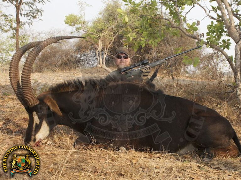 Sable Hunting | Hunting Consultants & Hunt Brokers Best Areas In Africa