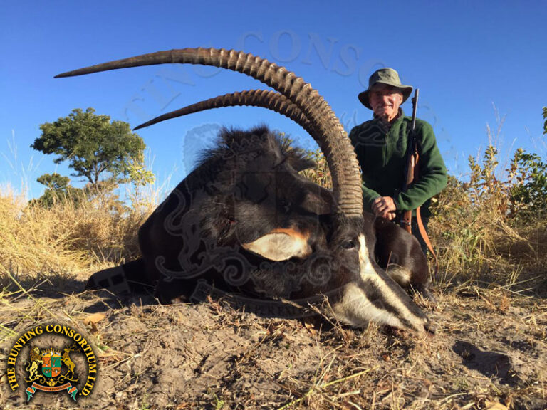 Sable Hunting | Hunting Consultants & Hunt Brokers Best Areas In Africa