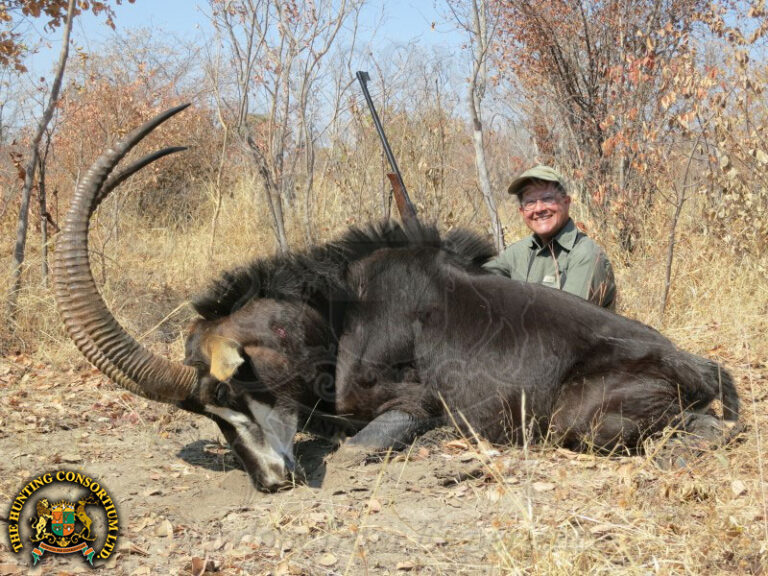 Sable Hunting | Hunting Consultants & Hunt Brokers Best Areas In Africa