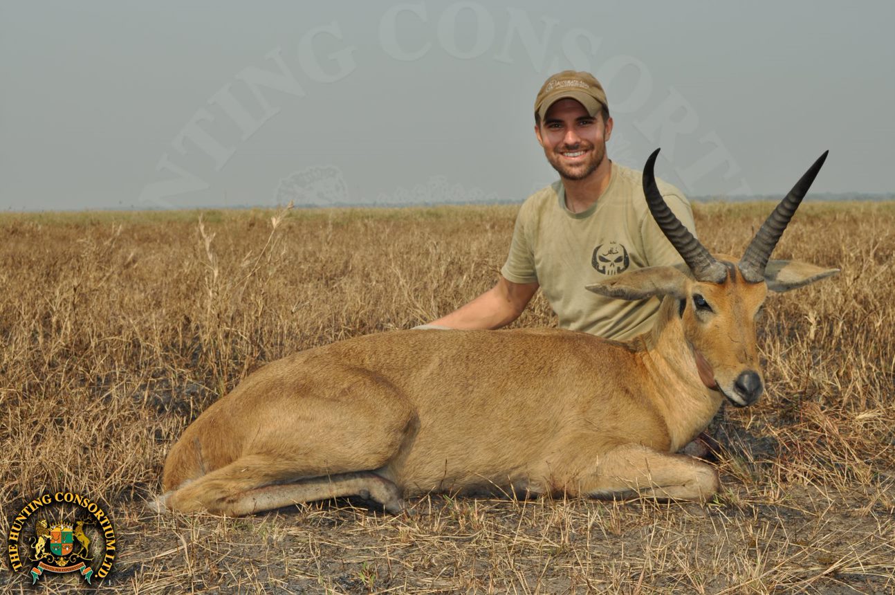 Common Reedbuck Hunting | Hunting Consultants & Hunt Brokers