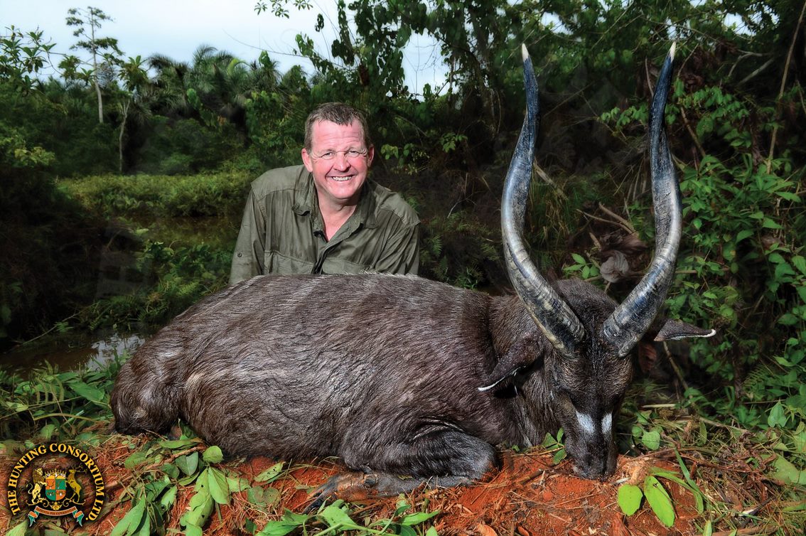 Forest Sitatunga Hunting | Best Areas With Highest Success