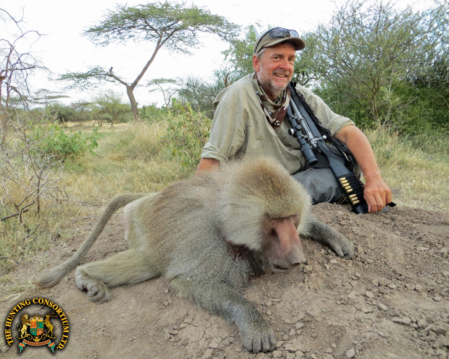 Baboon Hunting: Exciting African Safari | Hunt Trips | International ...