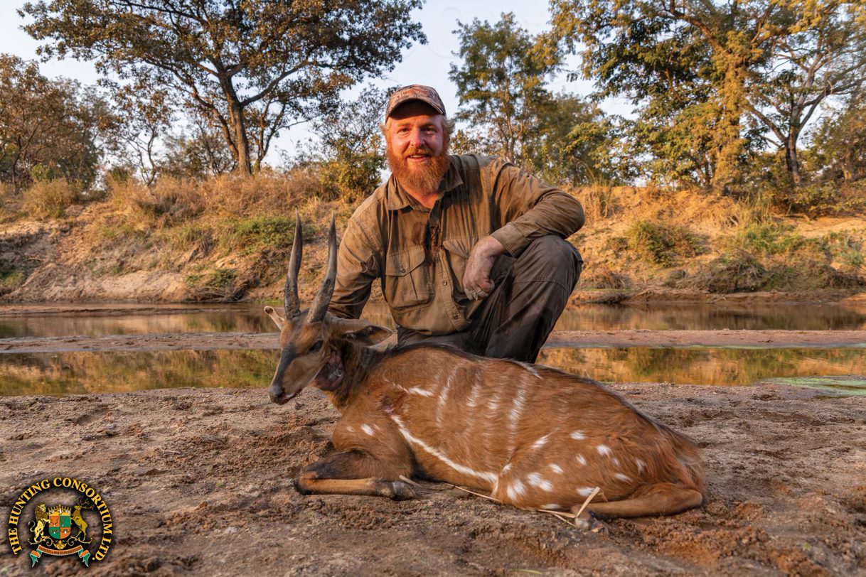 Harnessed Bushbuck Hunting | Hunting Consultants & Hunt Brokers