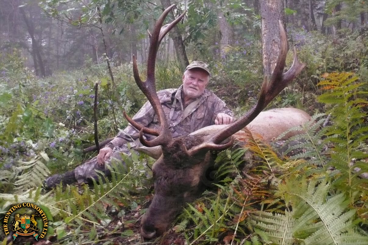 Manchurian Wapiti Hunting Best Areas - Highest Success Rates