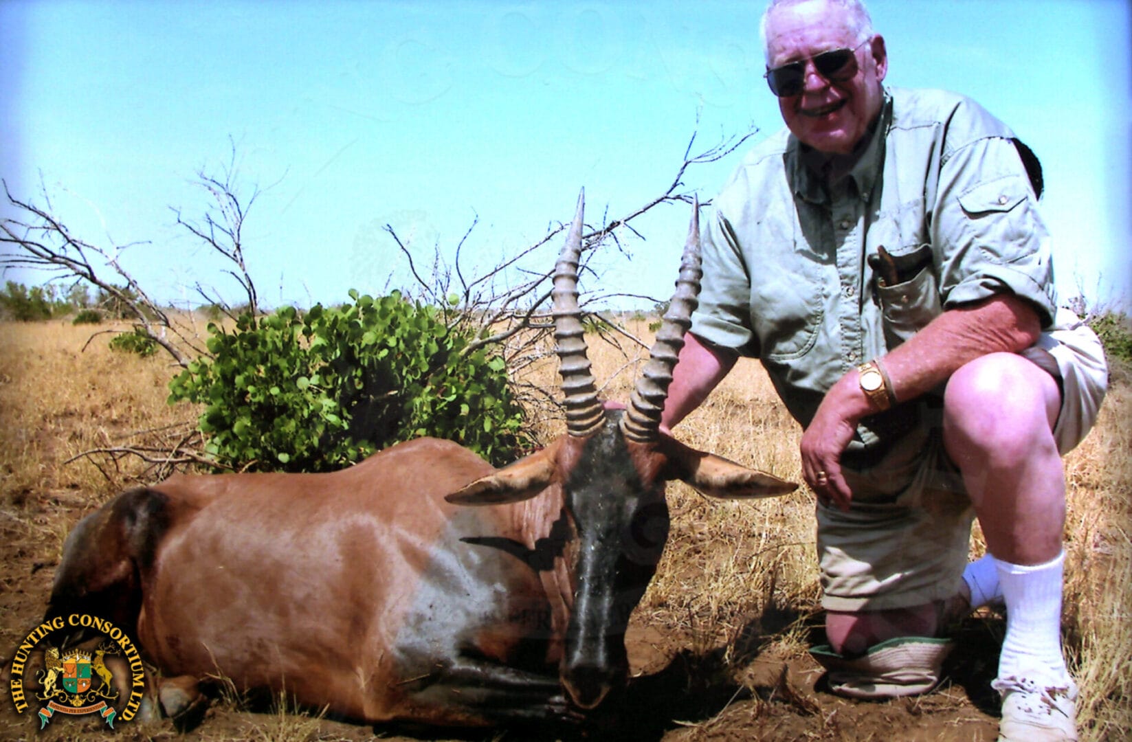 Tiang Hunting | Hunting Consultants & Hunt Brokers