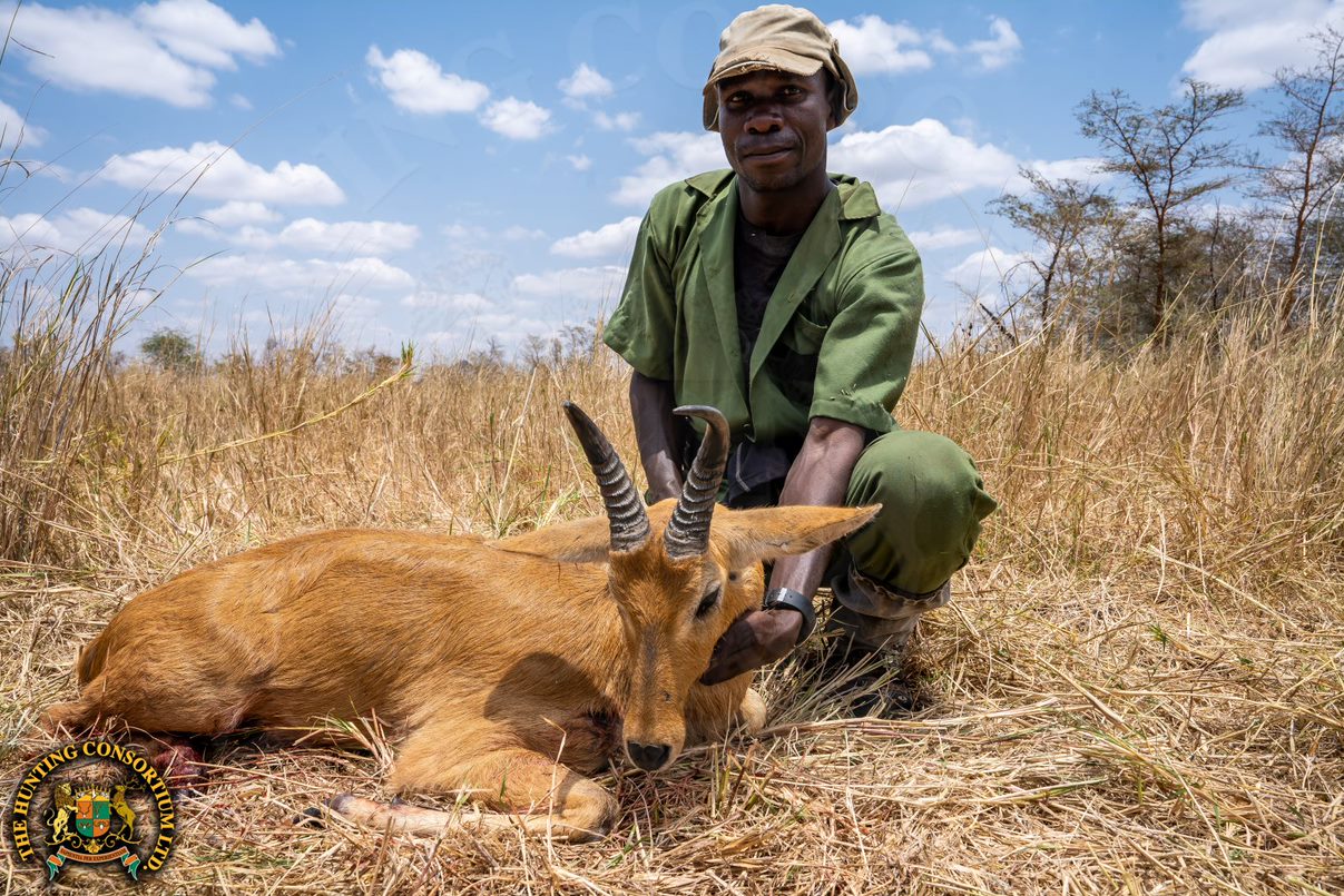 Eastern Bohor Reedbuck Hunting | Hunting Consultants & Hunt Brokers